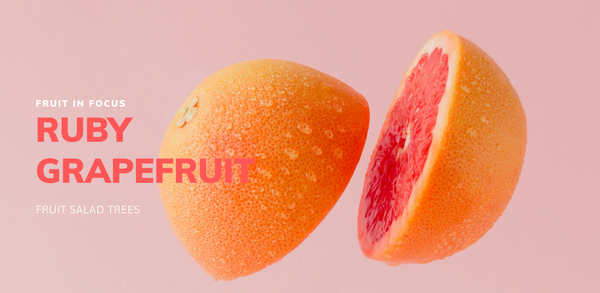 Fruit in Focus | Ruby Grapefruit - Fruit Salad Trees